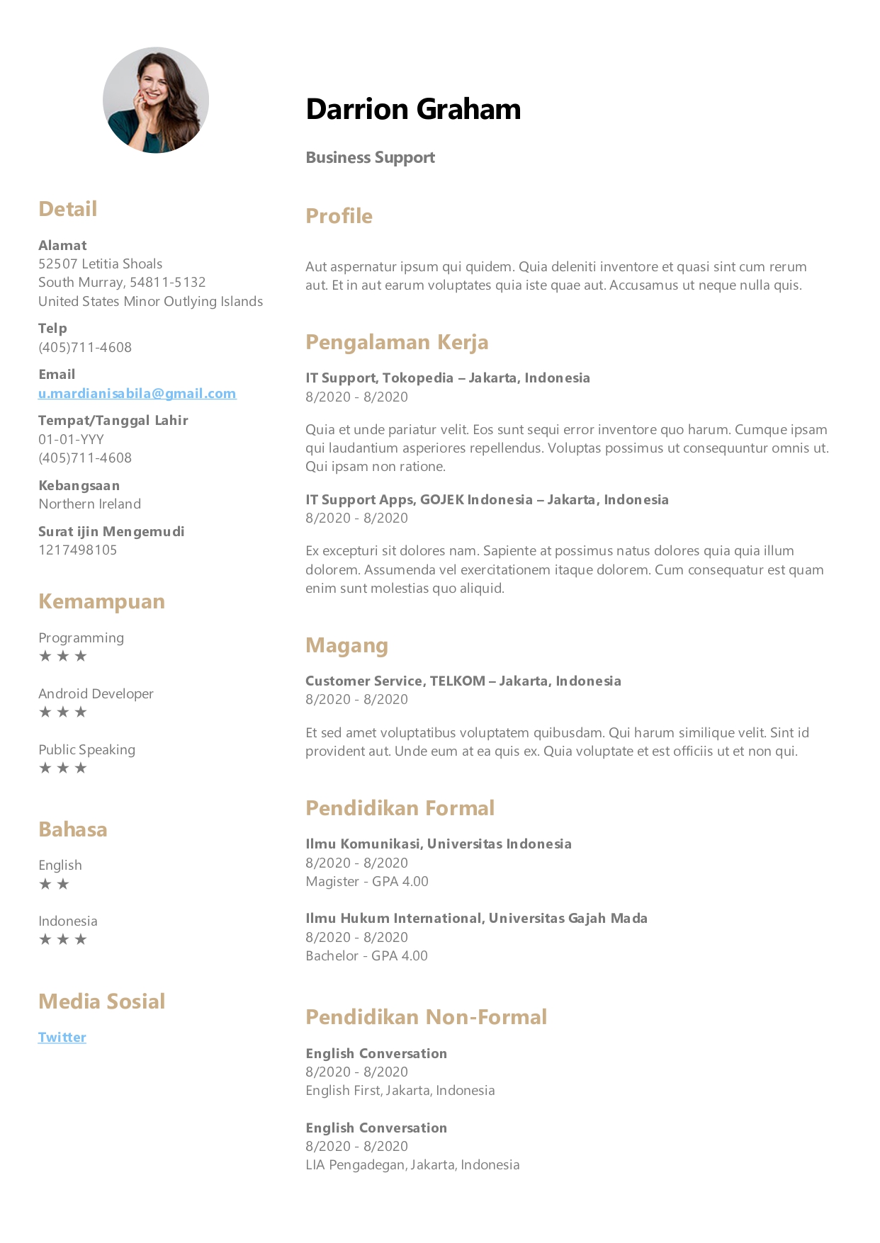 CV Resume Template